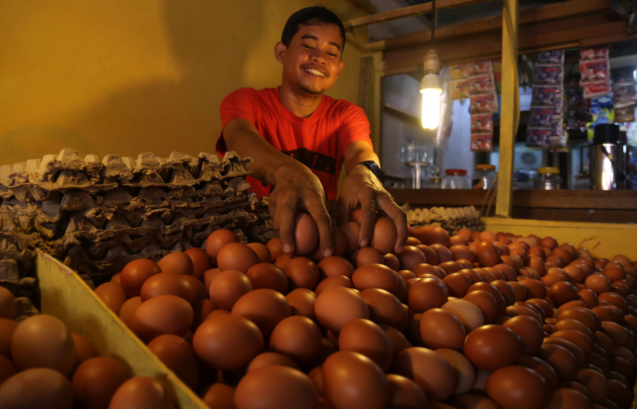 FOTO: Harga Telur Ayam di Ternate Tembus Rp65 Ribu per Rak