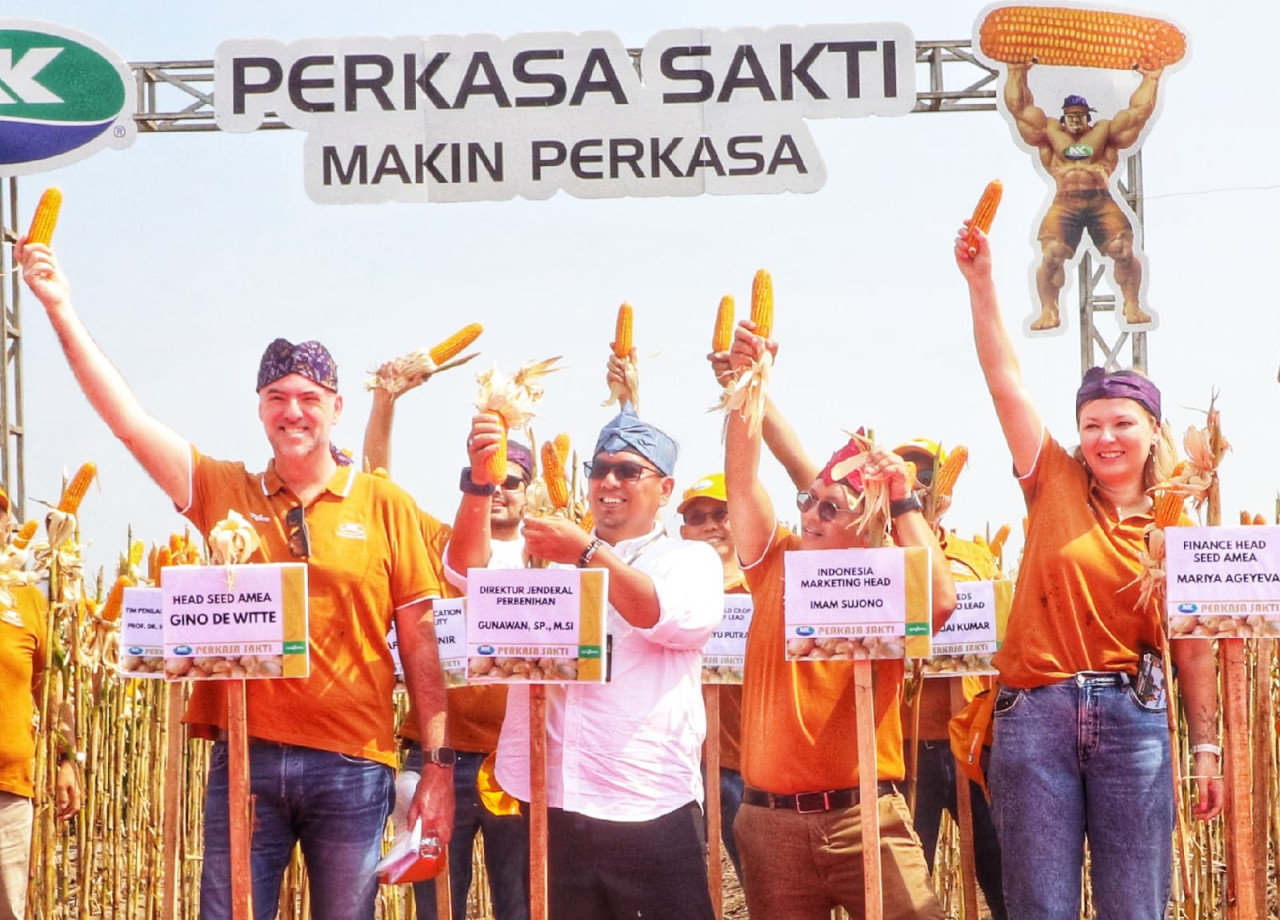 FOTO: Dukung Ketahanan Pangan Nasional, Syngenta Luncurkan Jagung ...