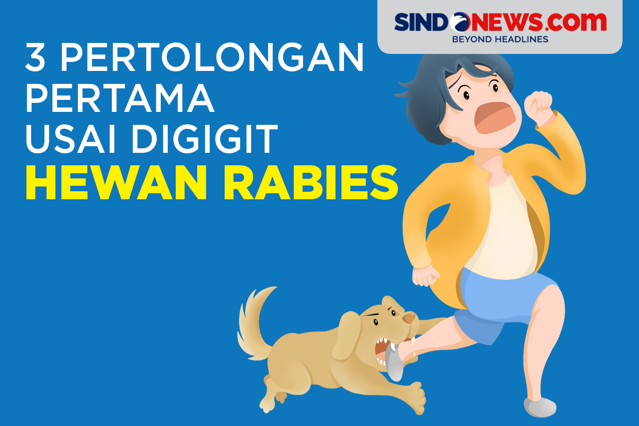 SINDOgrafis: 3 Pertolongan Pertama Usai Digigit Hewan Rabies