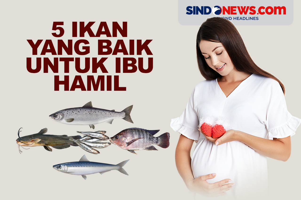SINDOgrafis: 5 Ikan yang Baik untuk Ibu Hamil, Kaya akan Omega-3