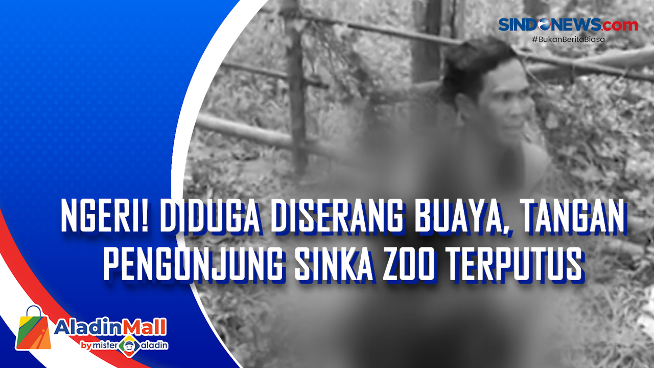 VIDEO: Ngeri! Diduga Diserang Buaya, Tangan Pengunjung Sinka Zoo Terputus