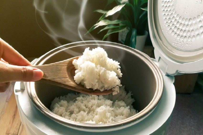 Apakah Masak Nasi dengan Magic Com Berbahaya? Ini Penjelasan Dosen ...