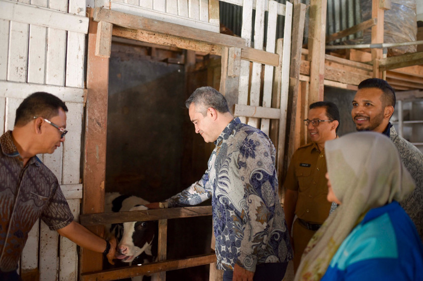 Produsen Olahan Susu Ini Perkuat Dairy Development di Padang Panjang